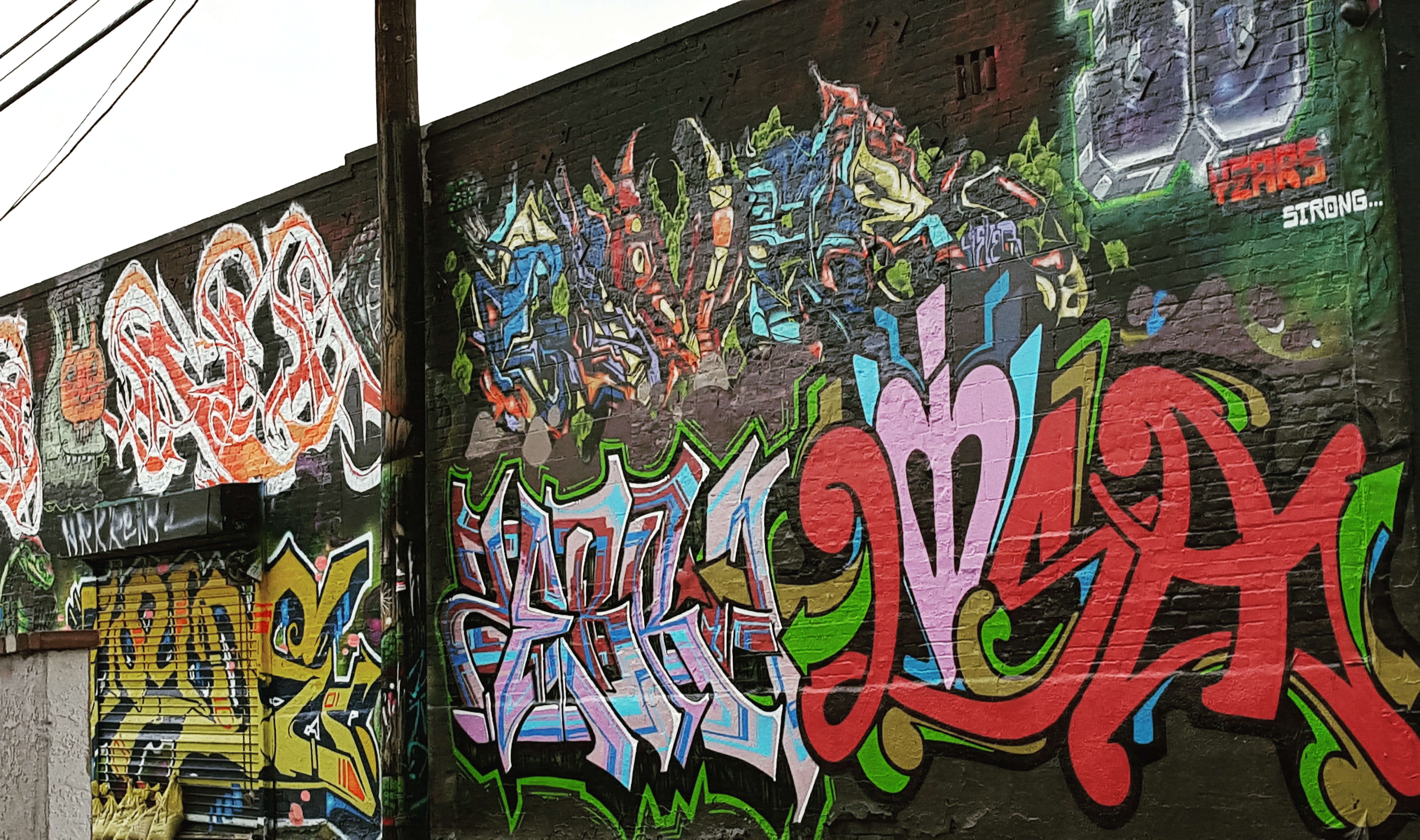 Nicholas White | Passion of the Weiss